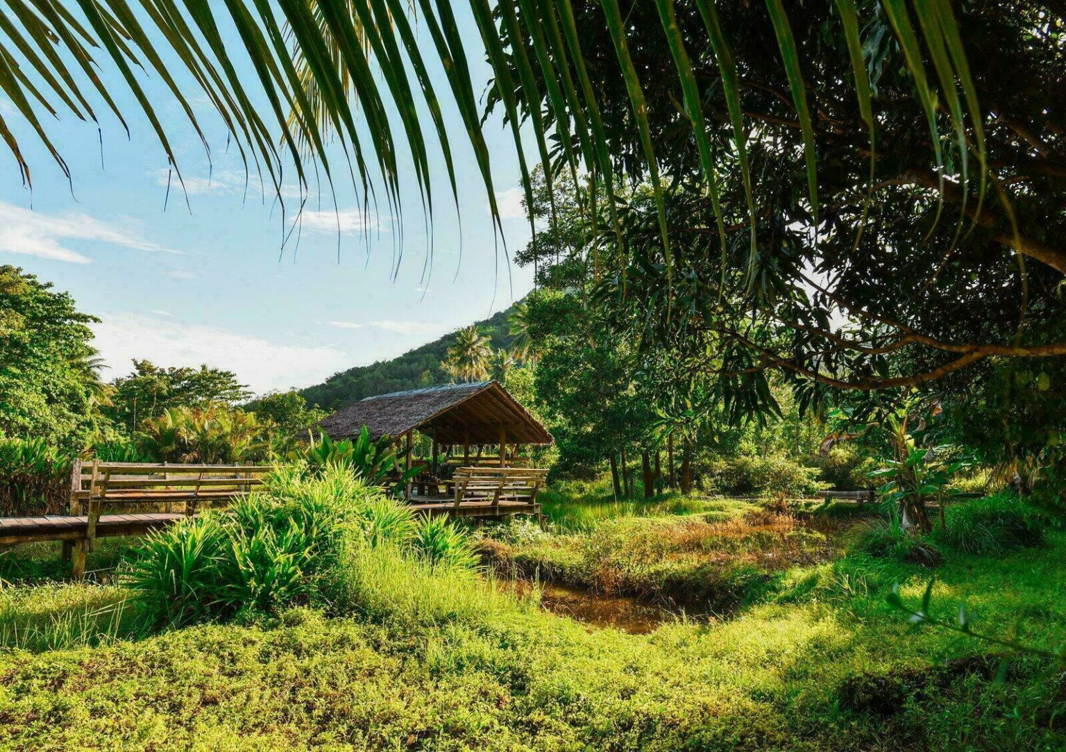 Visiter le Togo, ce petit pays d'Afrique : toutes les infos à savoir