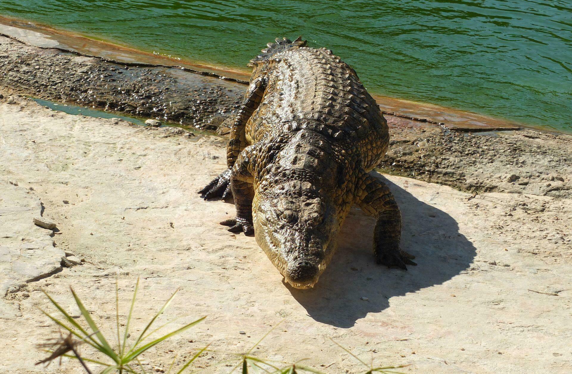 Que voir à Djerba ? 11 visites incontournables à faire lors de votre séjour