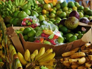 Martinique : L’essentiel avant de partir visiter l'île