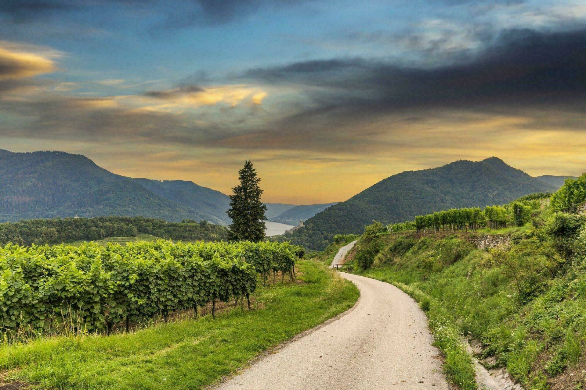 Les 12 plus beaux paysages de l'Autriche à voir absolument