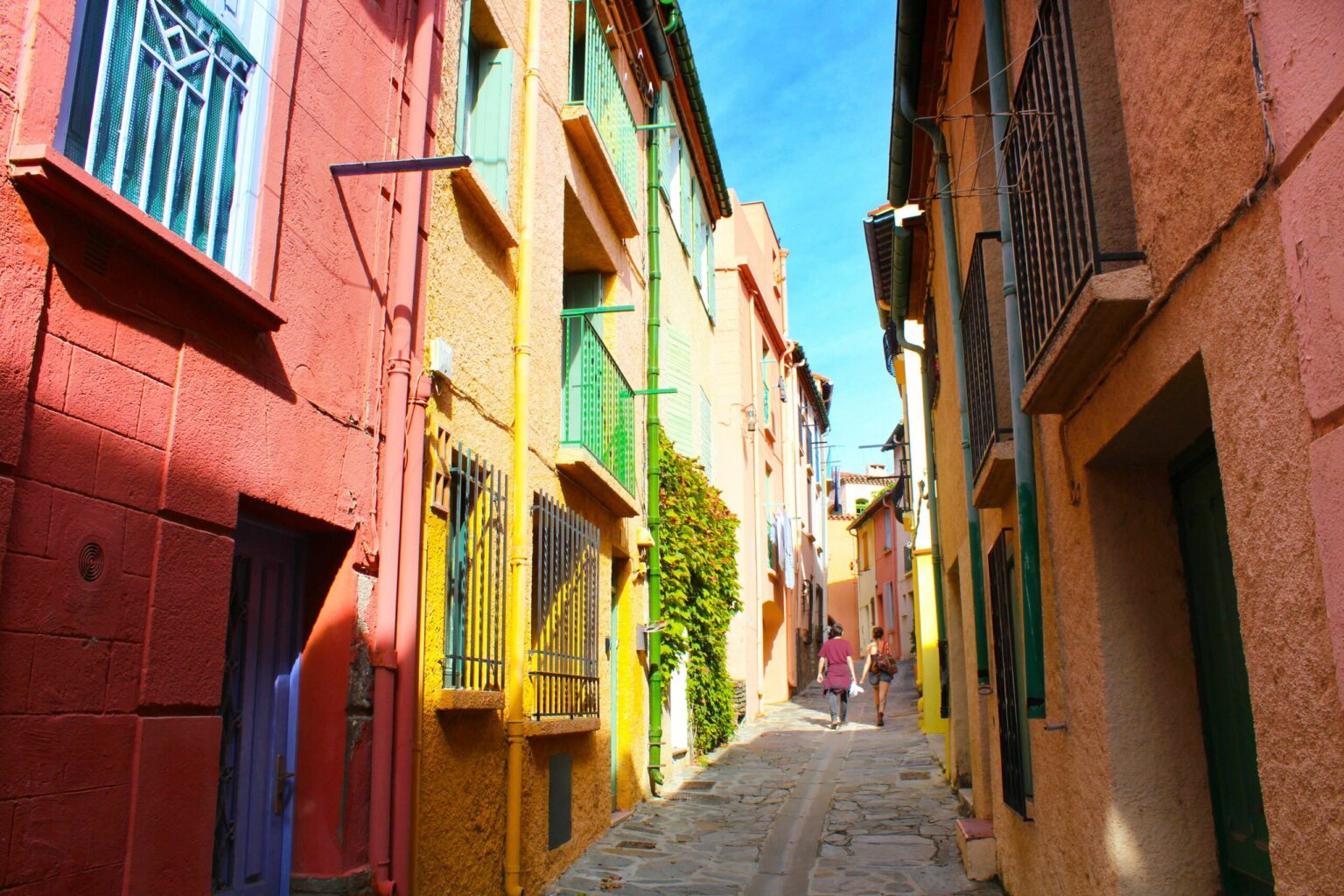 Que voir et que faire à Collioure ? Nos 12 visites essentielles