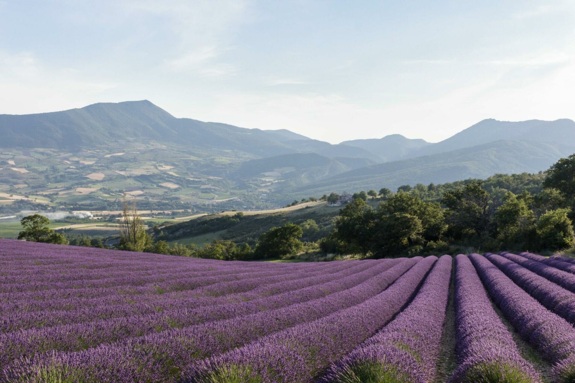 14 activités à faire dans le Parc naturel régional des Baronnies ...
