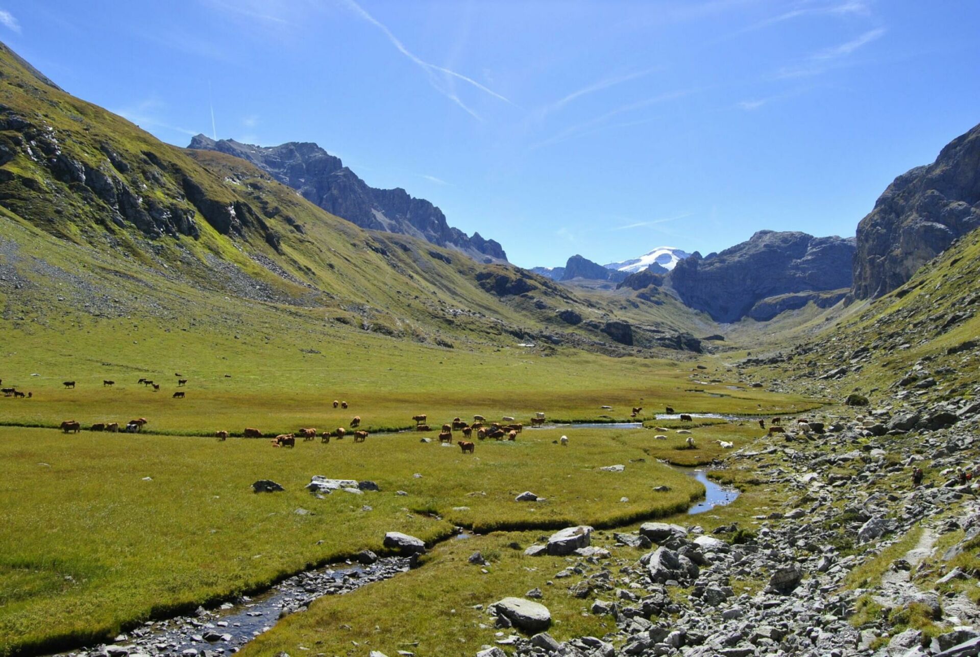 Parc national de la Vanoise : toutes les visites incontournables à faire