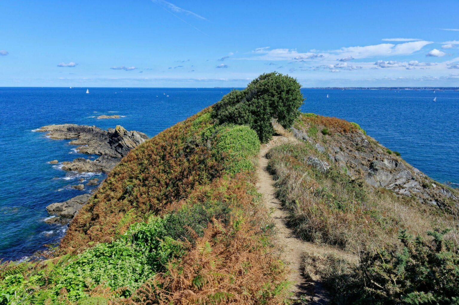 Que faire sur la côte d'Emeraude, en Bretagne ? Suivez le guide