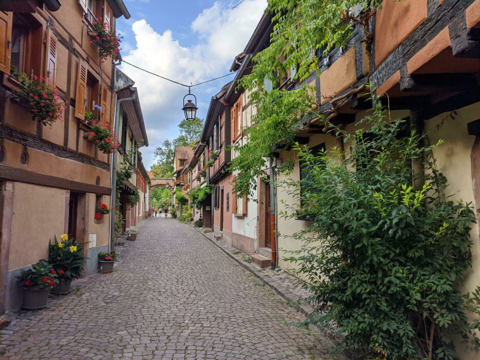 Voici les 12 visites et activités à faire autour de Colmar