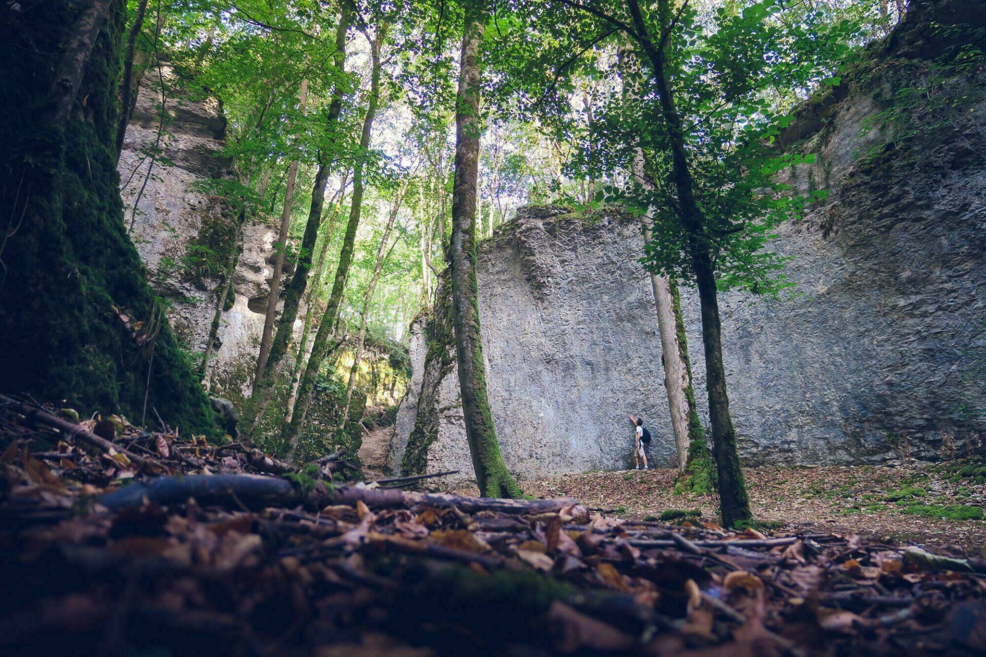 Parc national de Forêts : voici toutes nos idées d'activités