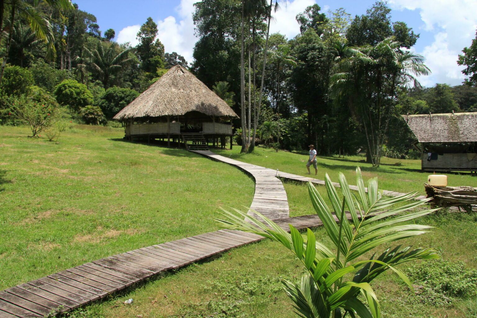 Road trip en Guyane : 10 étapes pour itinéraire parfait