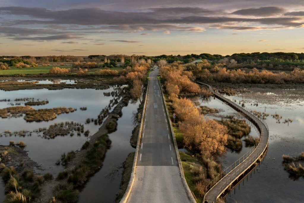 5 idées de road trip dans le sud de la France