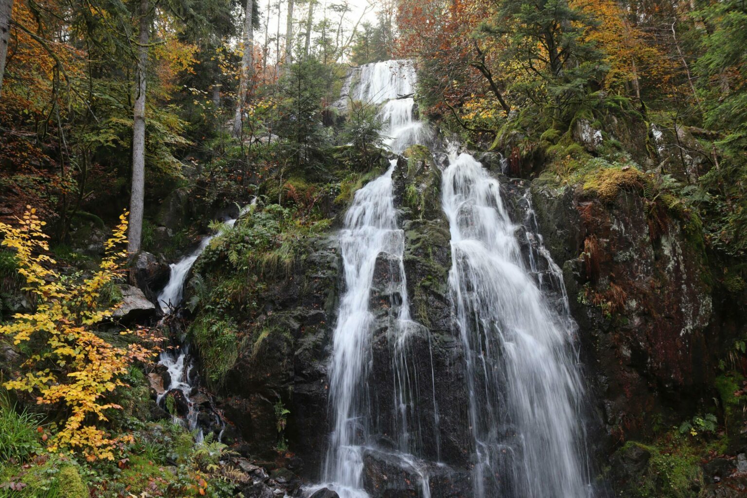 Les 20 plus beaux paysages des Vosges à admirer (ou photographier)