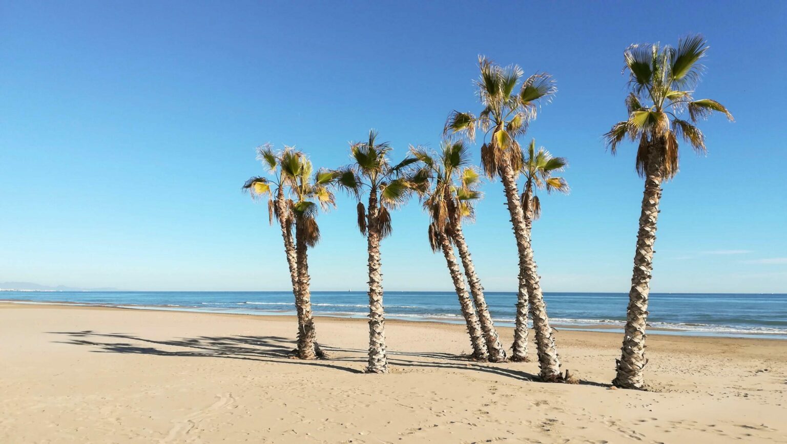 Découvrez 14 visites à faire autour de Valence en Espagne