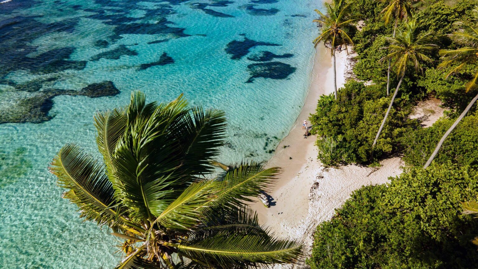 Que voir et que faire à Pointe-à-Pitre ? Nos 12 incontournables