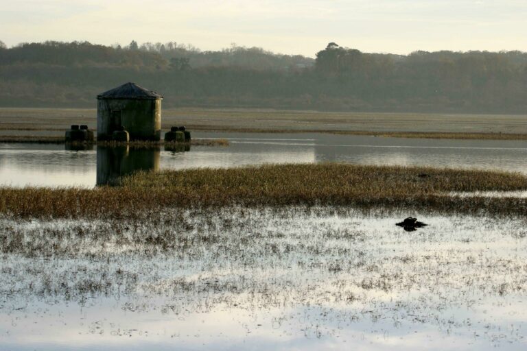 Les 20 paysages des Landes à voir ou à photographier absolument