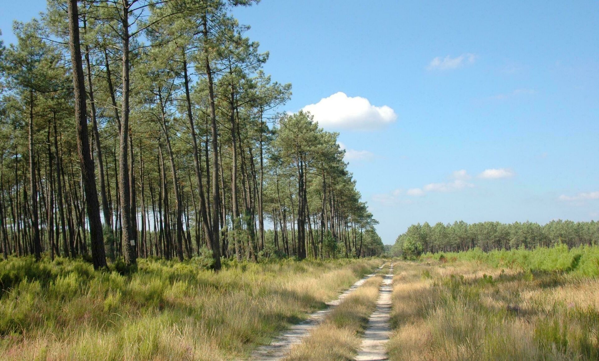 Les 20 paysages des Landes à voir ou à photographier absolument