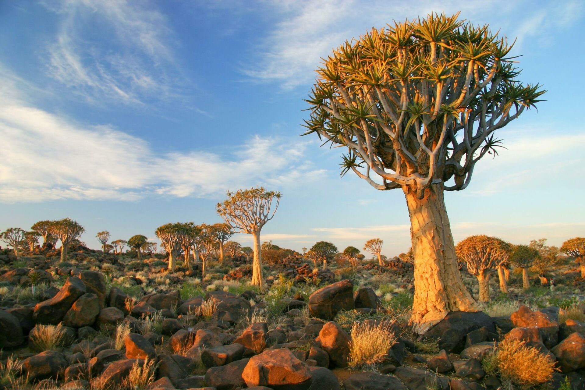 28 superbes clichés des paysages de Namibie à admirer