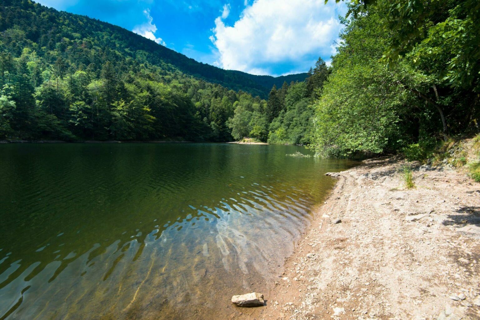 14 lacs des Vosges à découvrir au cœur de la nature