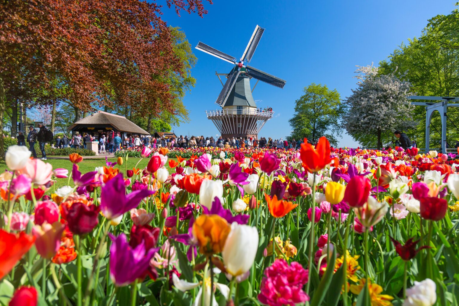 Les 24 plus beaux paysages des Pays-Bas à découvrir en photos