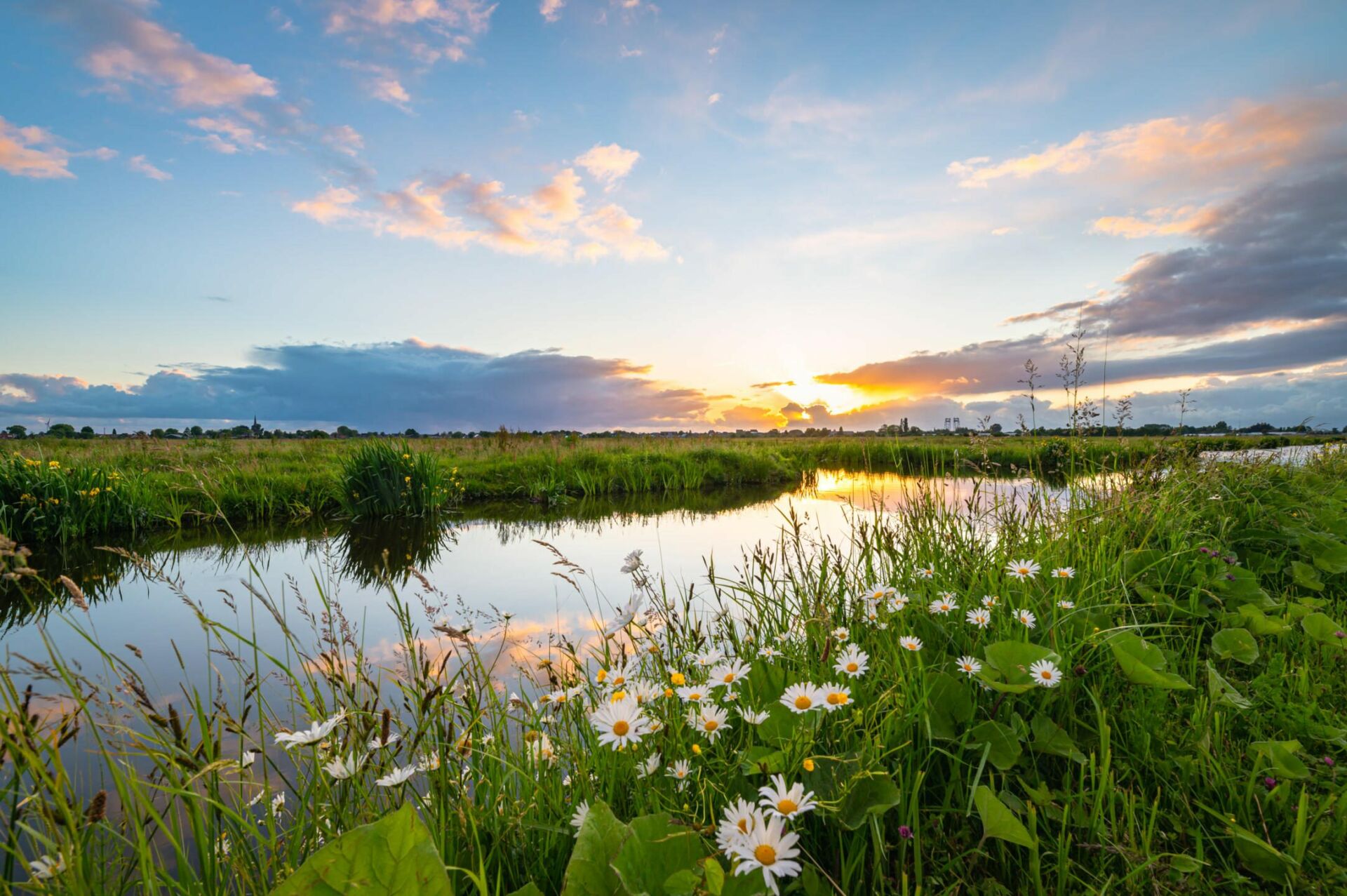 Les 24 plus beaux paysages des Pays-Bas à découvrir en photos