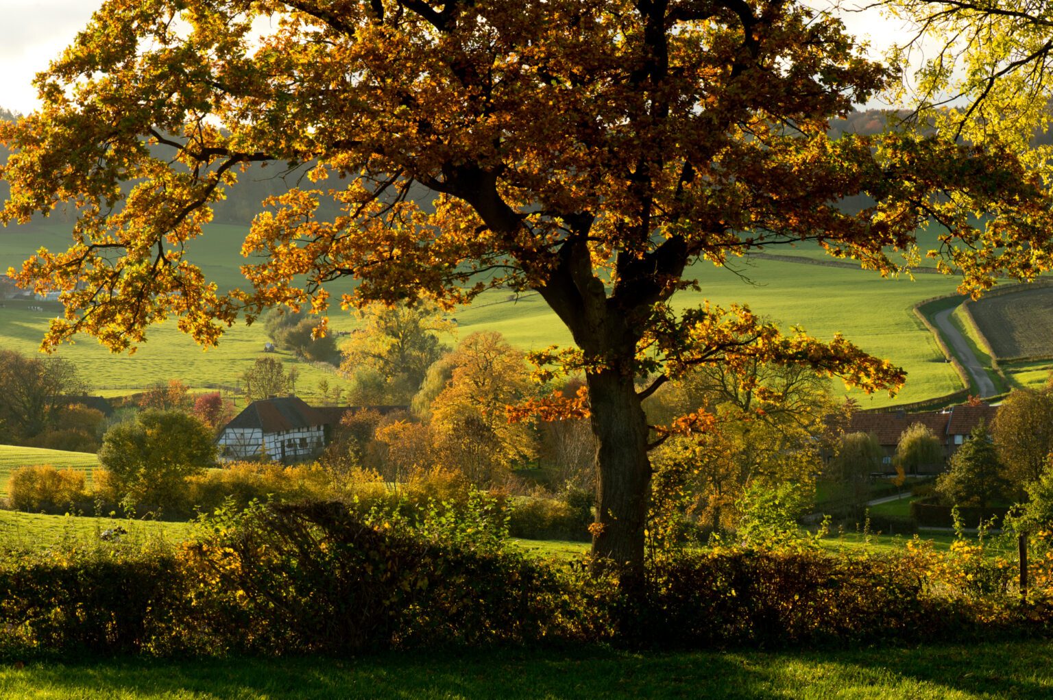 Les 24 plus beaux paysages des Pays-Bas à découvrir en photos