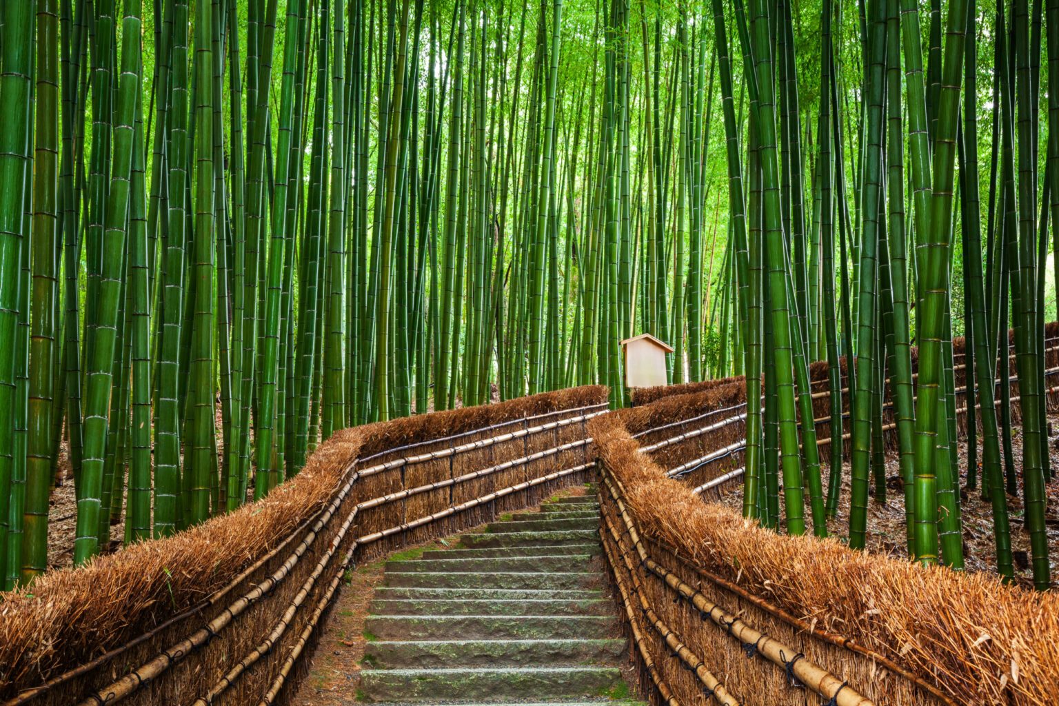 28 incroyables paysages du Japon à admirer en photos