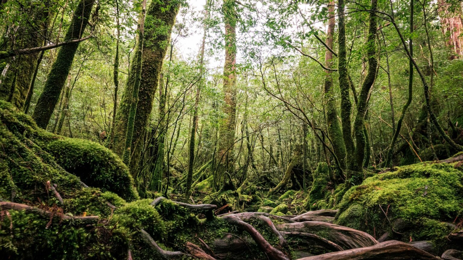 28 incroyables paysages du Japon à admirer en photos