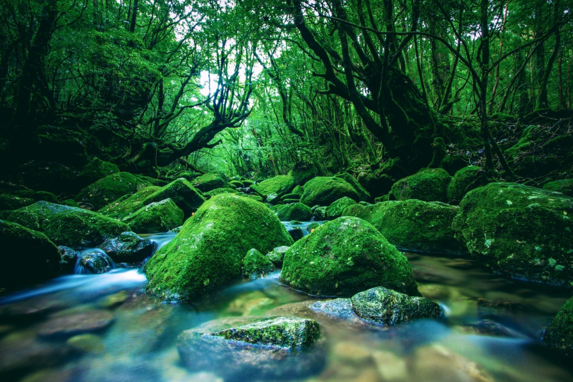 28 incroyables paysages du Japon à admirer en photos