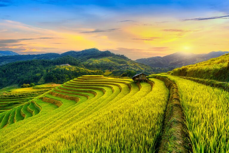 Voici 28 paysages de campagne autour du monde à admirer