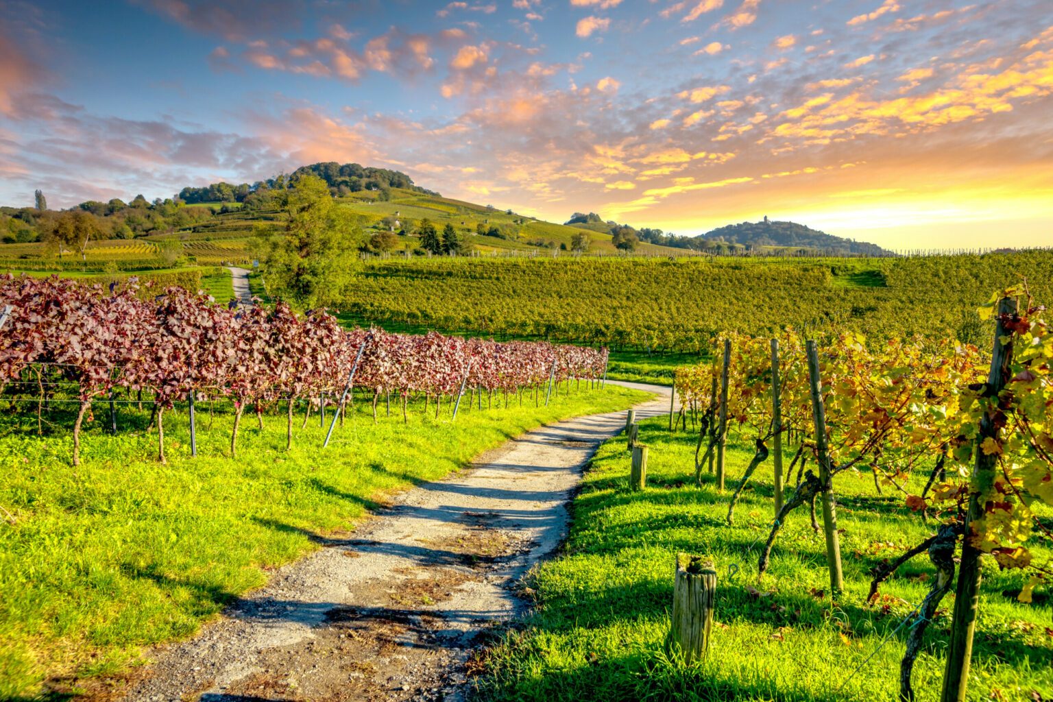 Voici 28 paysages de campagne autour du monde à admirer