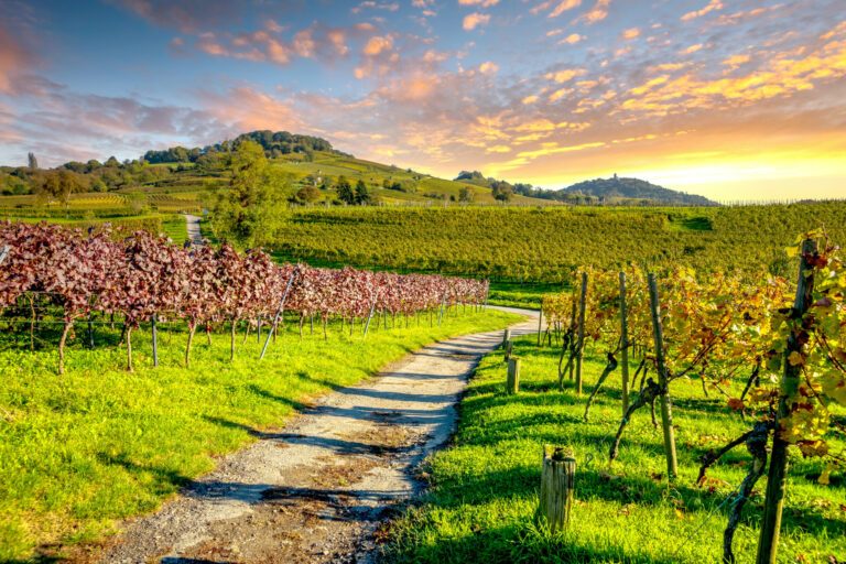 Voici 28 paysages de campagne autour du monde à admirer