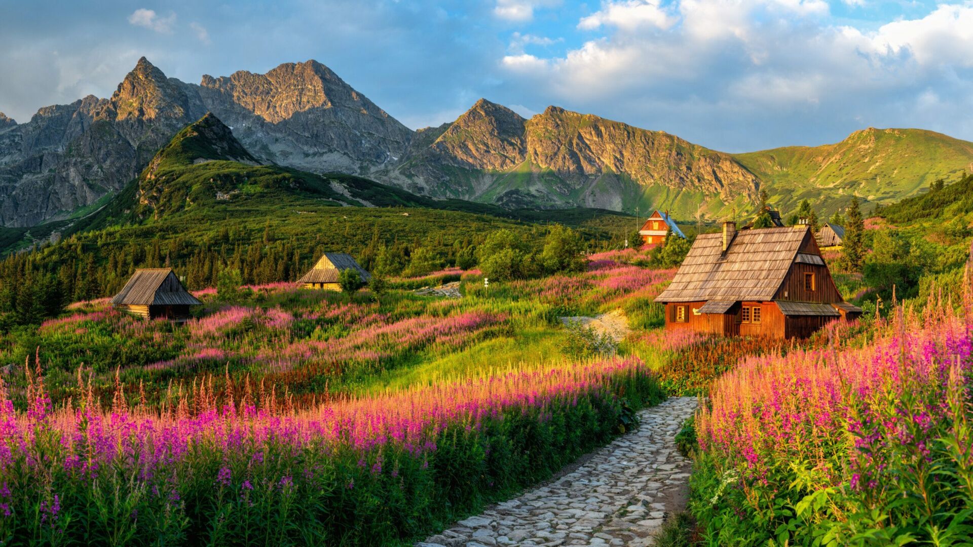 Voici 25 paysages de printemps à admirer en photos