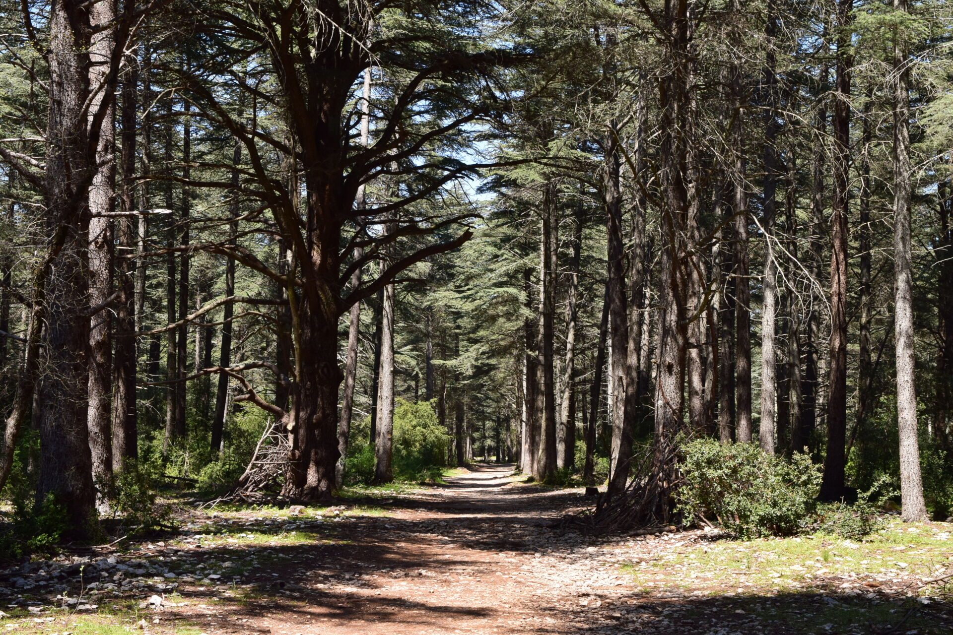 Autour du Colorado Provençal : découvrez ces 12 pépites à voir