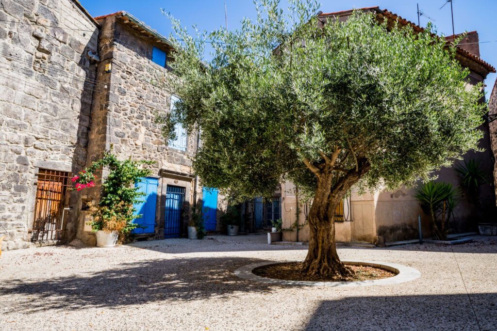 12 visites incontournables à voir autour d'Argelès-sur-Mer