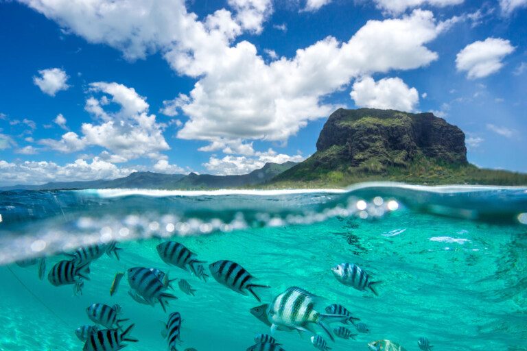 Top 23 des plus beaux paysages de l'île Maurice