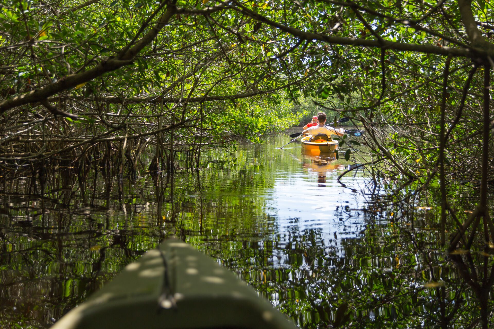 Visiter les Everglades : voici nos conseils pratiques